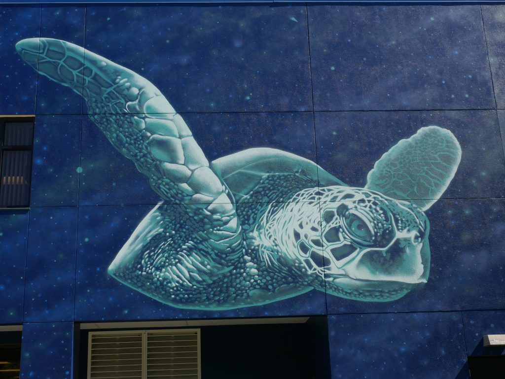 Mural Sea Turtle - Arts, Humanities and Design