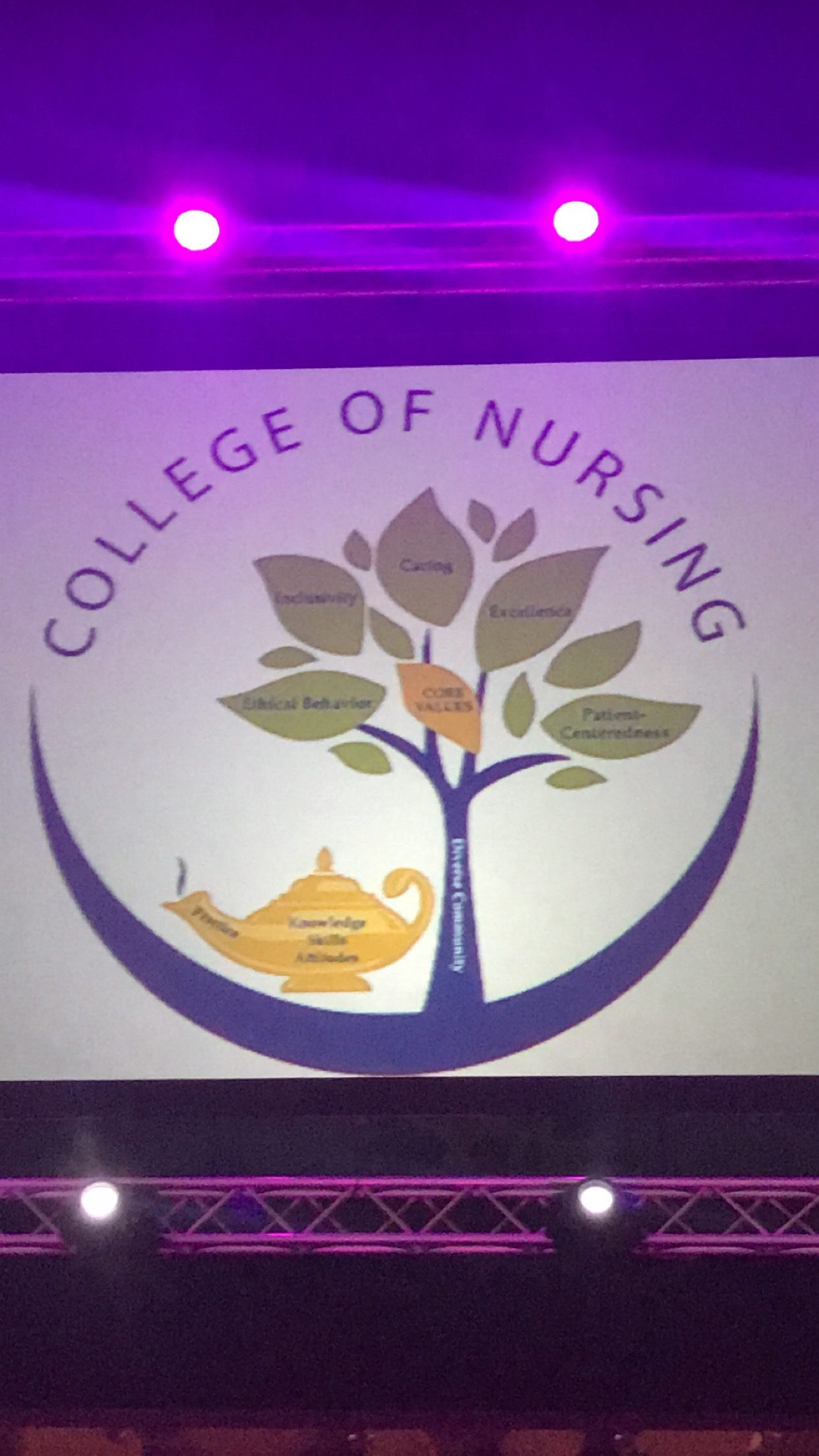 Nursing Spring Pinning Ceremony Health Sciences And Veterinary Technology