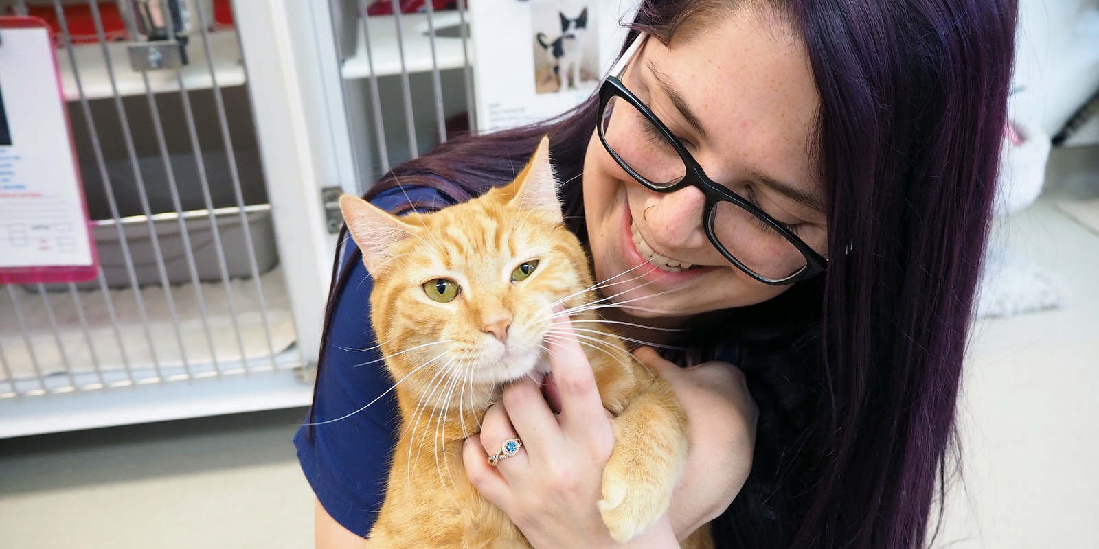 SPC Celebrates Veterinary Technician Week - Health Sciences and ...