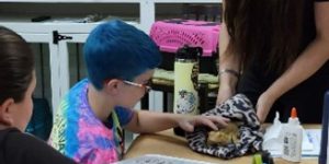 Health Sciences and Veterinary Technology || St. Petersburg College