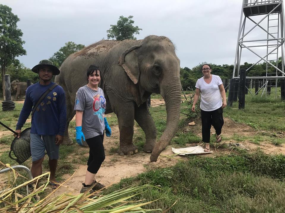 SPC Students Working Hard in Thailand to Help Each Elephant Stay ...
