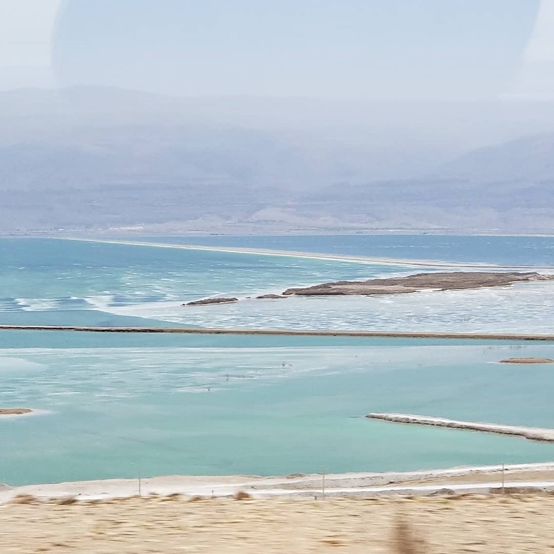 SPC student explores Israel's biodiversity along the Red Sea shoreline ...