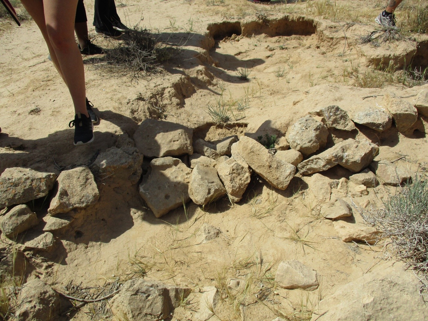 SPC student greets the dawn at the Ramon Crater in Israel - Center for ...
