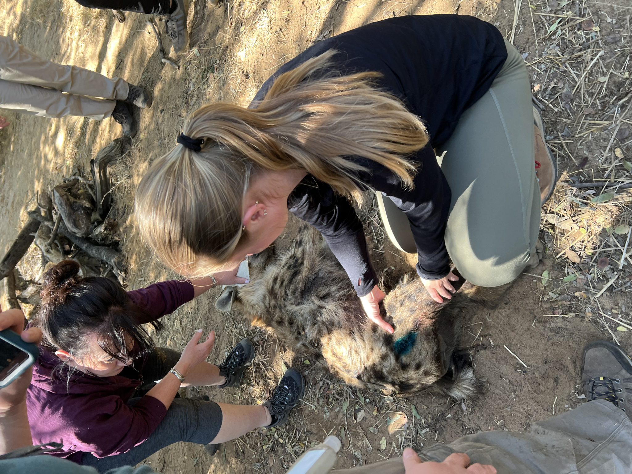 SPC Vet Tech experiences Zimbabwe - Center for International Programs