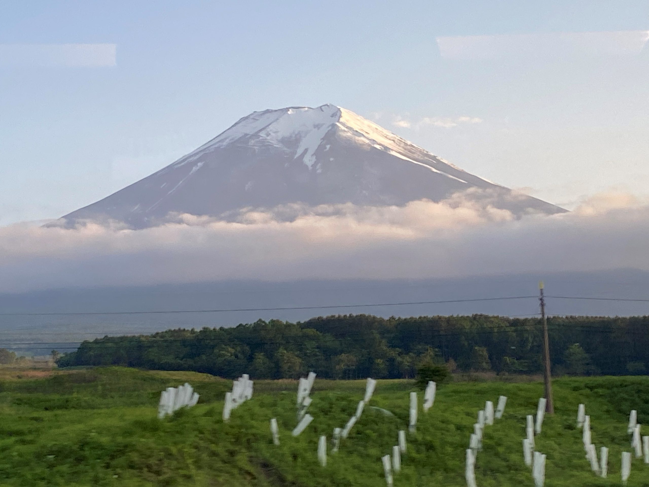 SPC Japan: It was truly unforgettable. - Center for International Programs