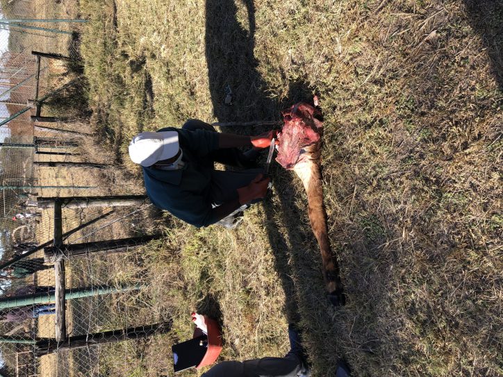 maret1 - Center for International Programs