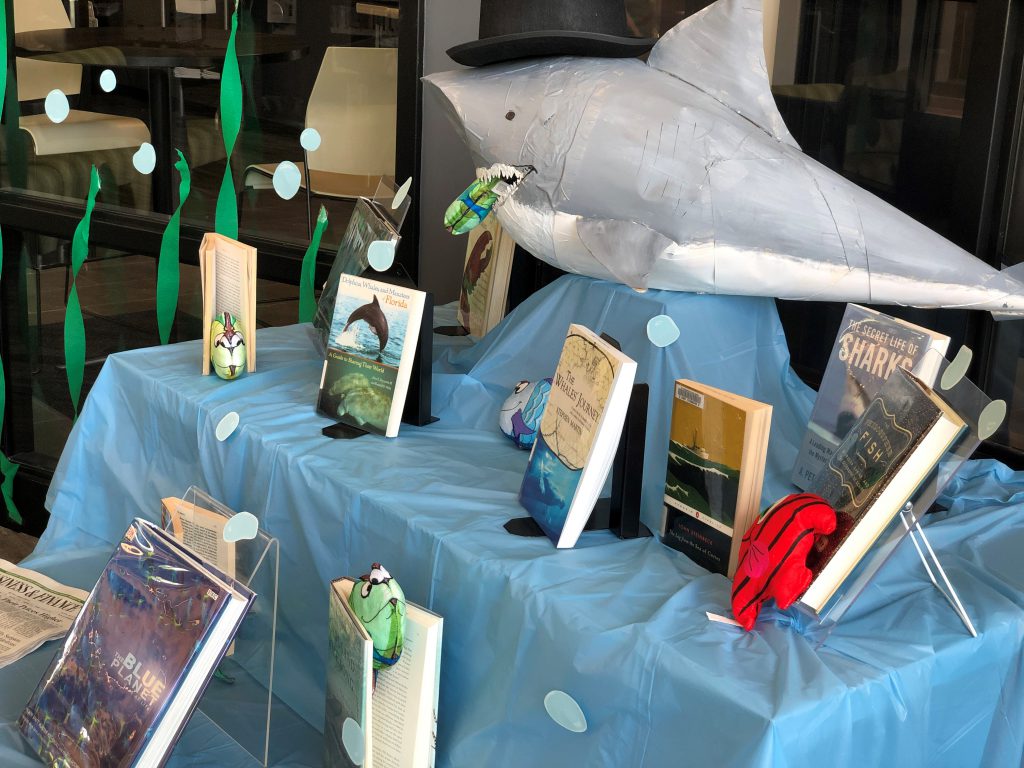 Shark Display - Learning Resources