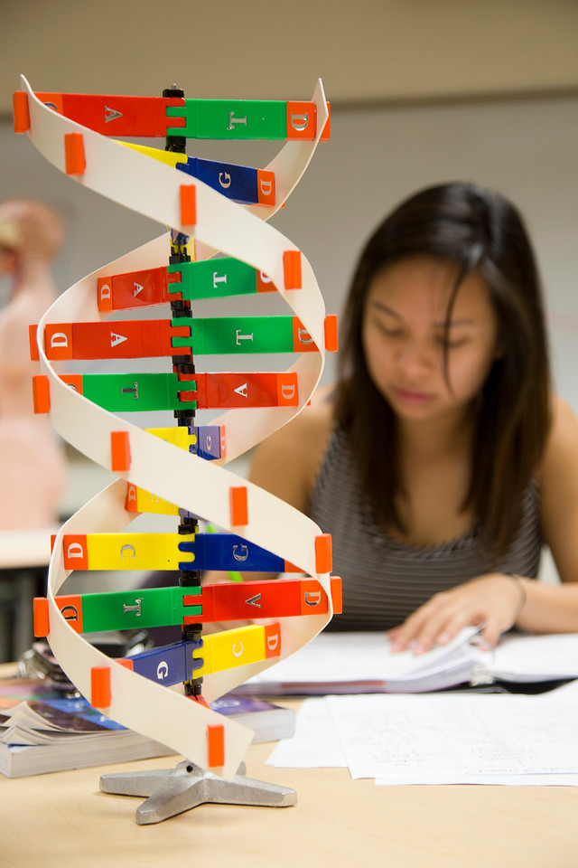 SPC Learning Centers offer tutoring, assistance to students - Learning ...