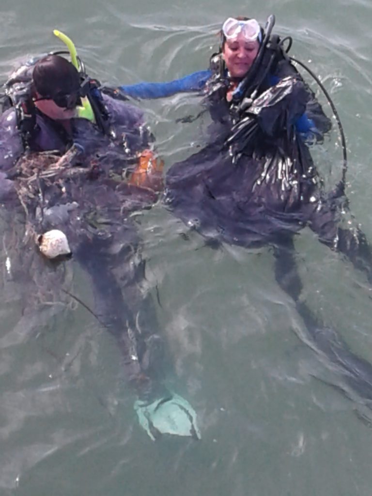 Scuba Club Holds Third Annual Reef Cleanup - Science and Mathematics