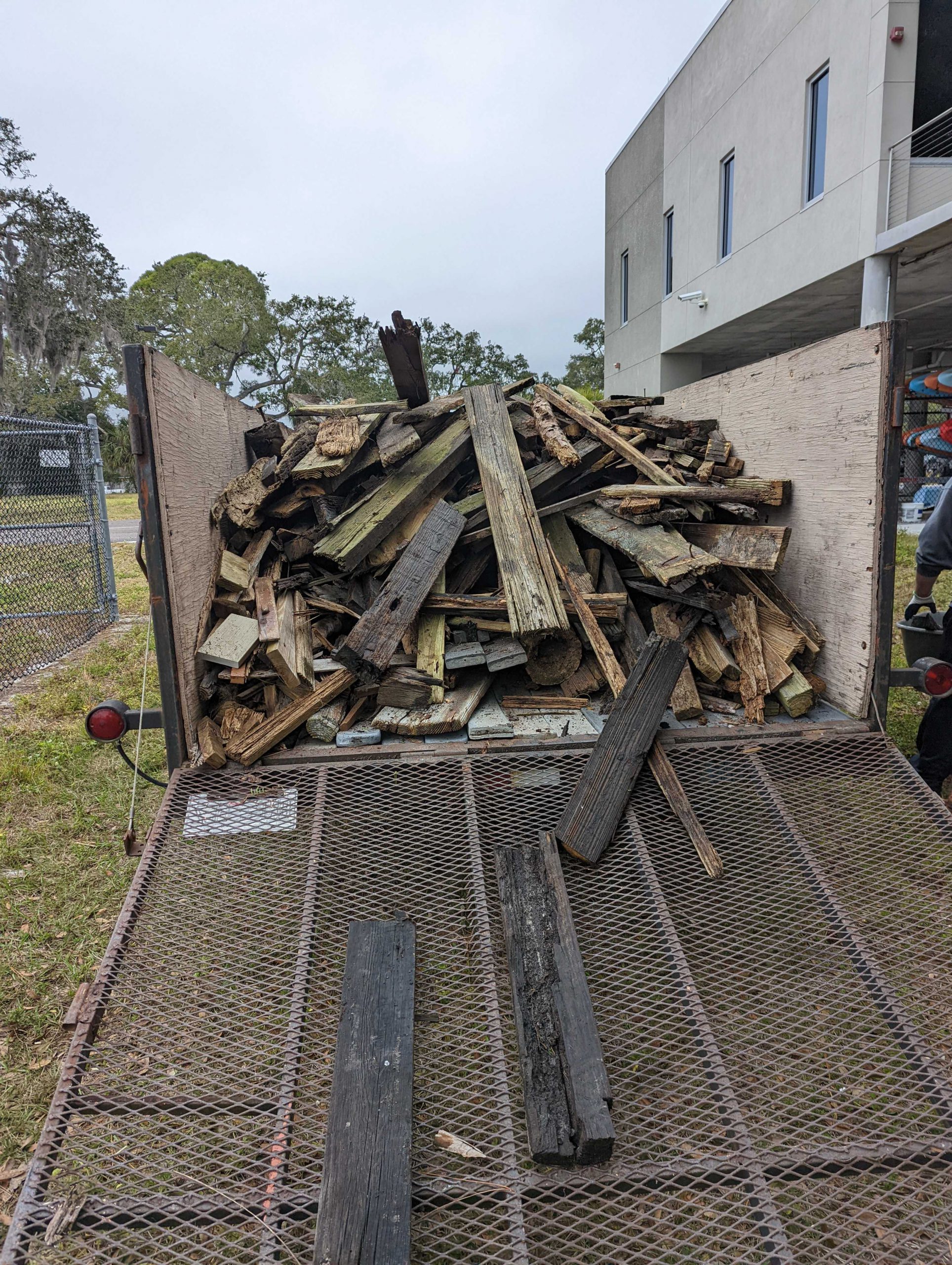 Storm Debris Removed by Volunteers - Science and Mathematics